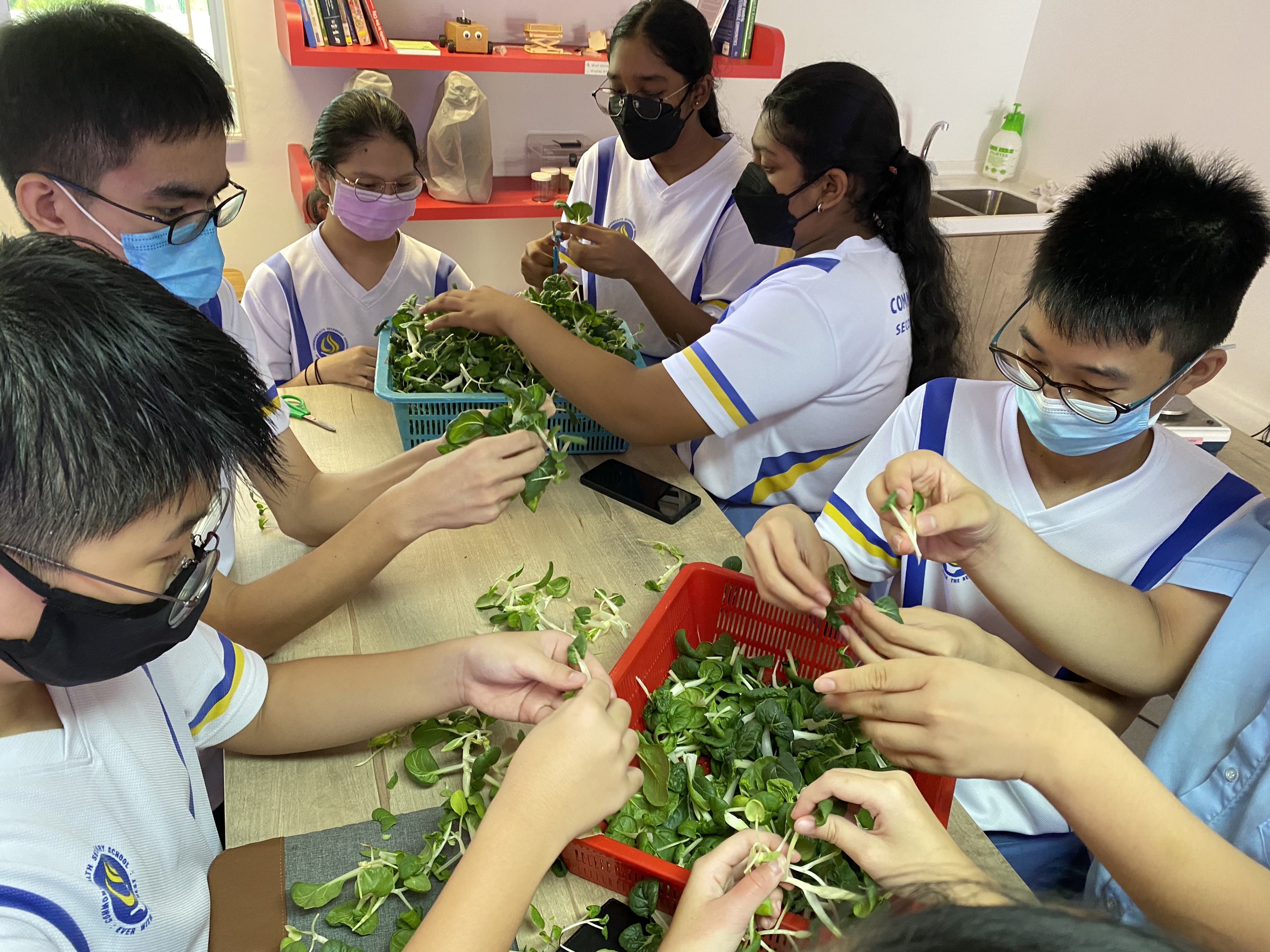 Eco Stewardship Curriculum