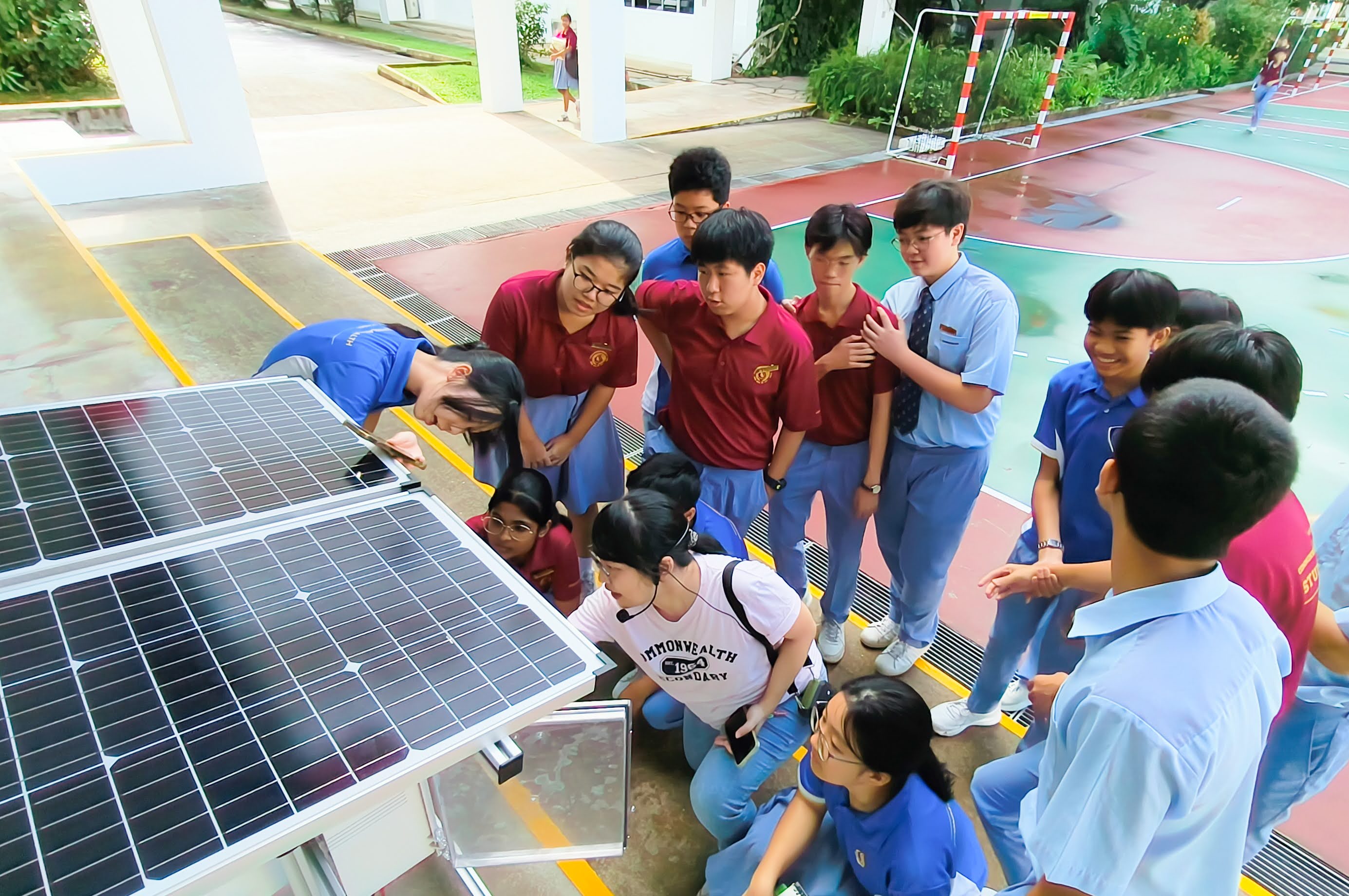 Eco Stewardship Curriculum